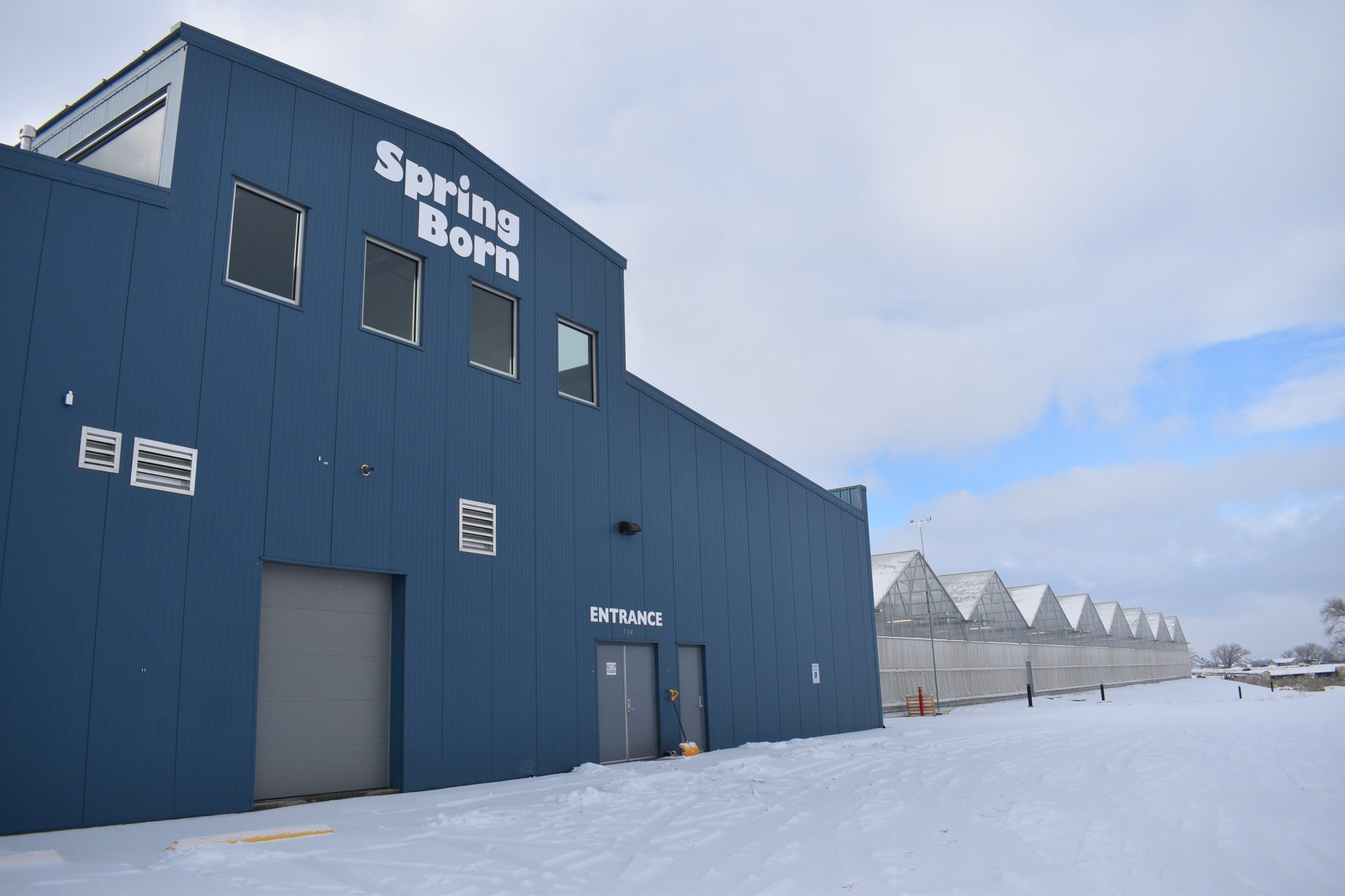 Hydroponic lettuce facility Spring Born closes in western Garfield ...